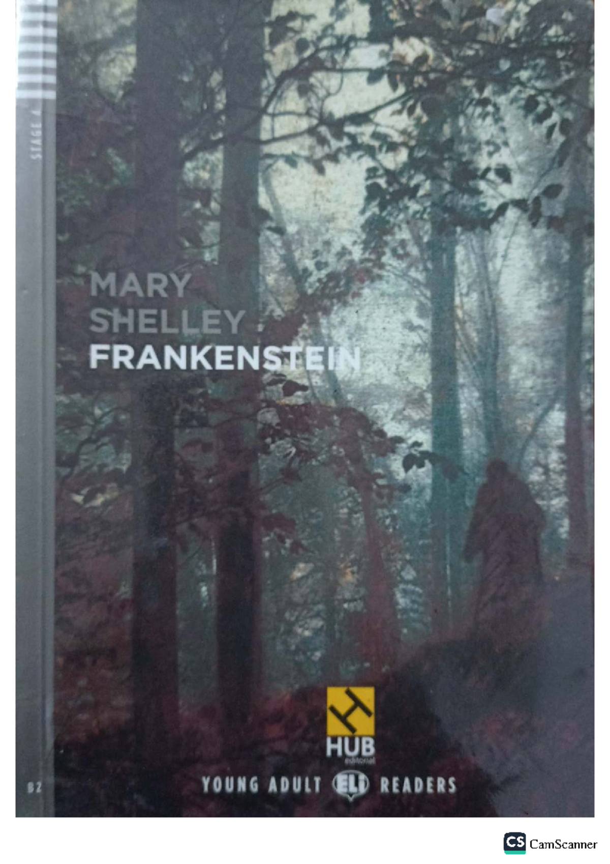 Frankenstein - Summary and Study Notes for Young Adult ELD Readers ...
