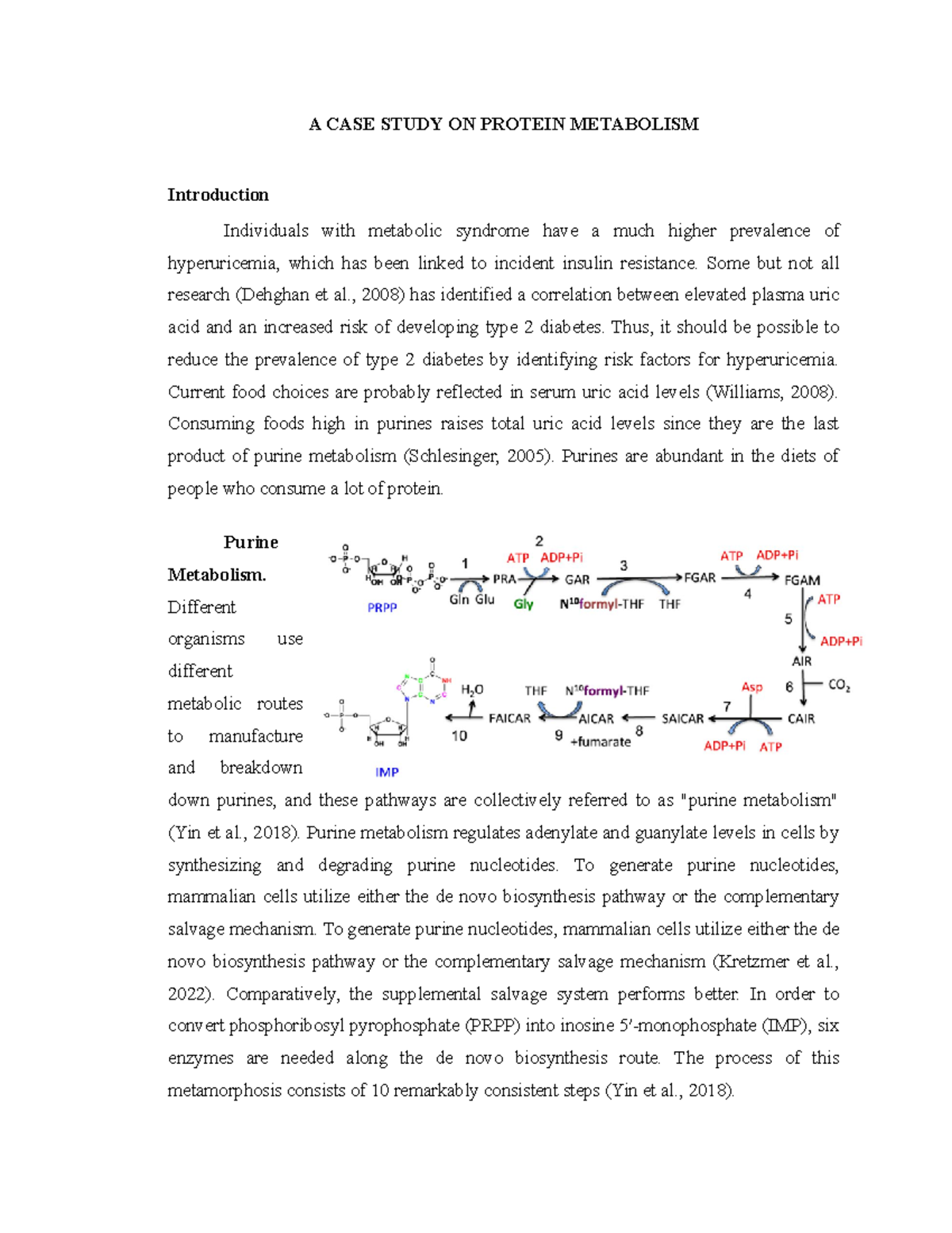 A CASE Study on Protein Metabolism and Uric Acid Regulation - Studocu