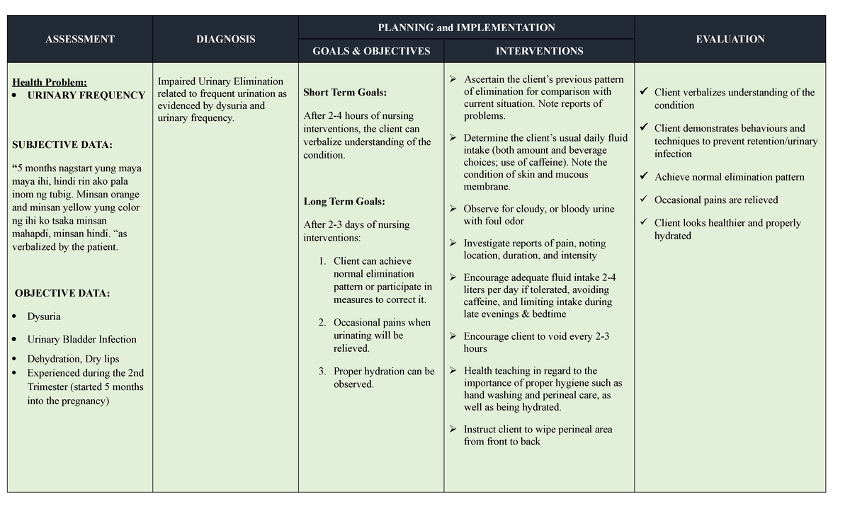 NCP - Urinary Retention - ASSESSMENT DIAGNOSIS PLANNING and ...