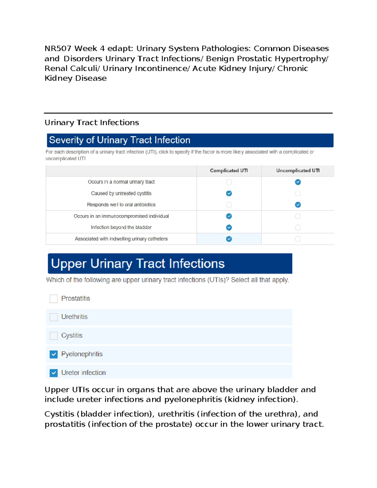 NR507 Week 4 Edapt: Urinary System Pathologies & Disorders - Studocu