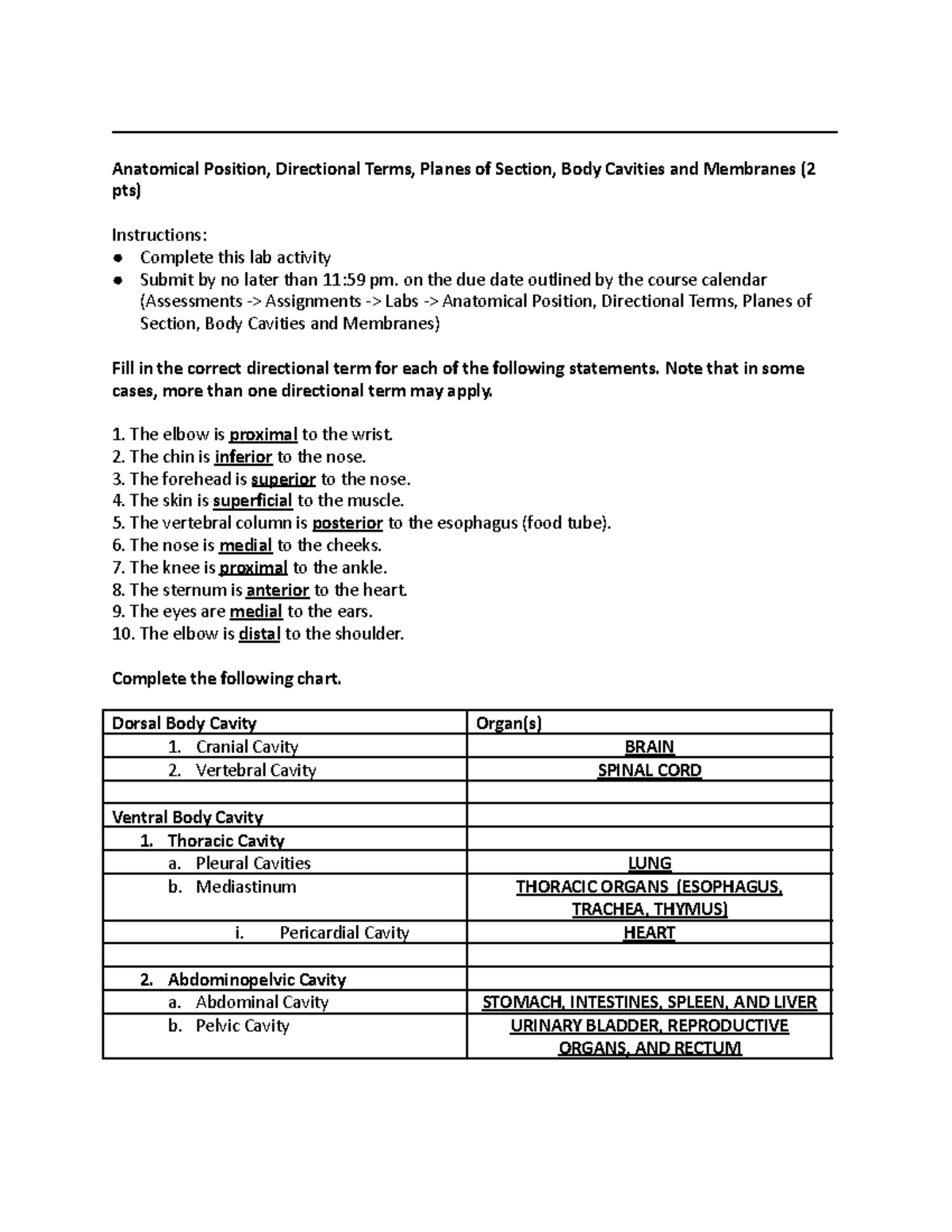 Anatomical Position, Directional Terms, Body Cavities, Membranes ...
