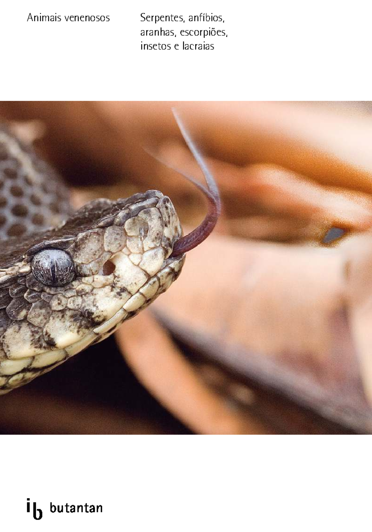 Animais Venenosos: Serpentes, Anfíbios, Aranhas e Escorpiões - 2ª ...