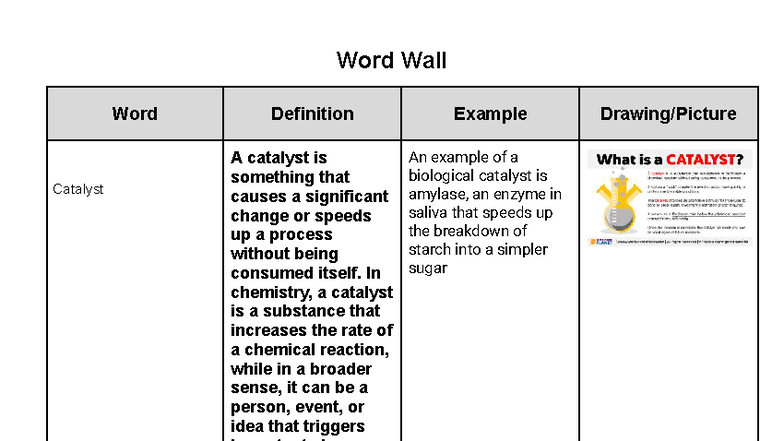 Word Wall: Catalyst, Enzyme, and Biomolecule Definitions and Examples ...