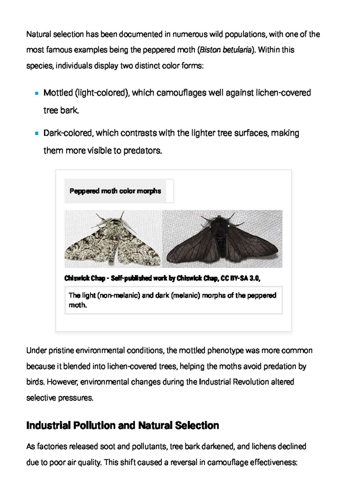 Natural Selection of the Peppered Moth: Environmental Impact Analysis ...