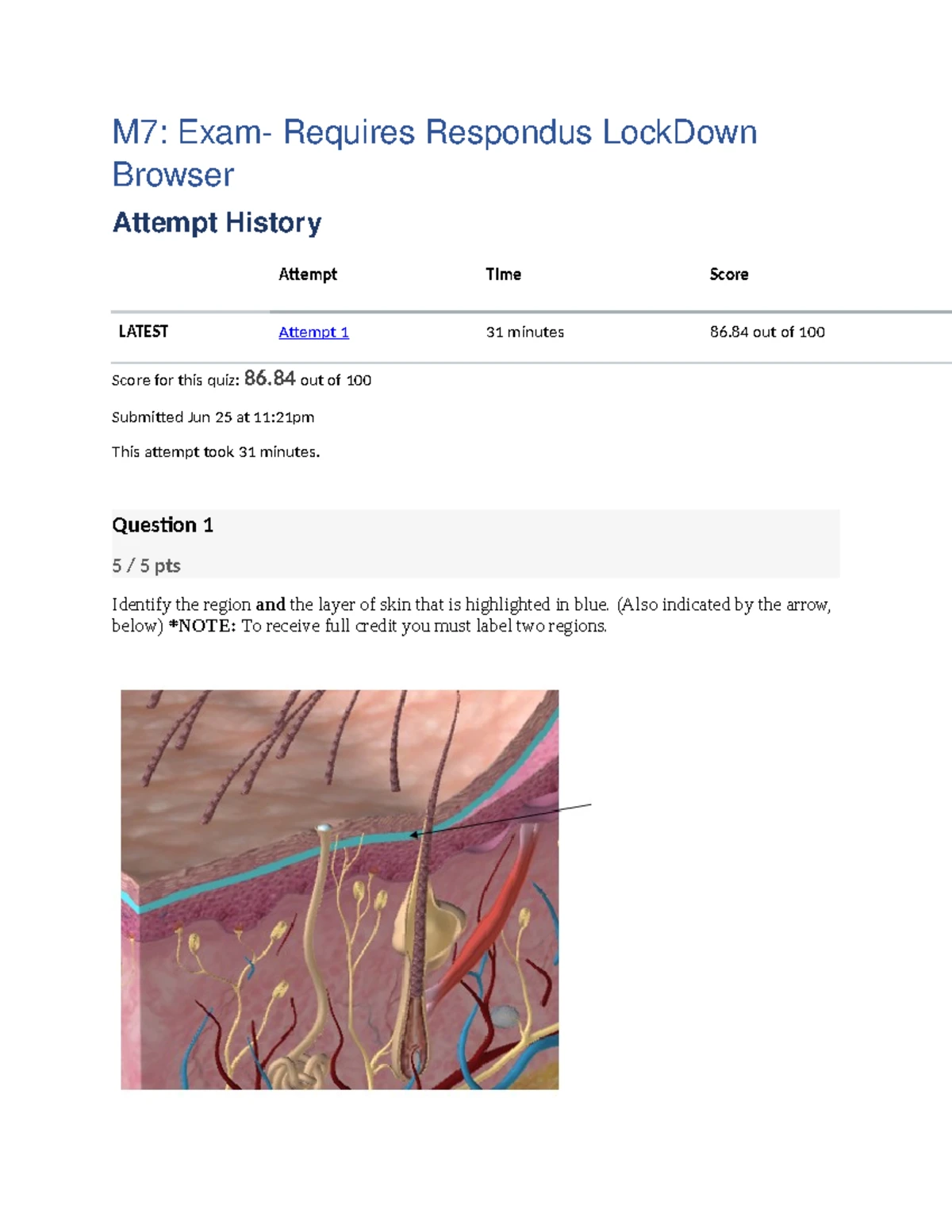 Lab 7 Exam A&P1 - Tissue Types Quiz Analysis and Score Report - Studocu
