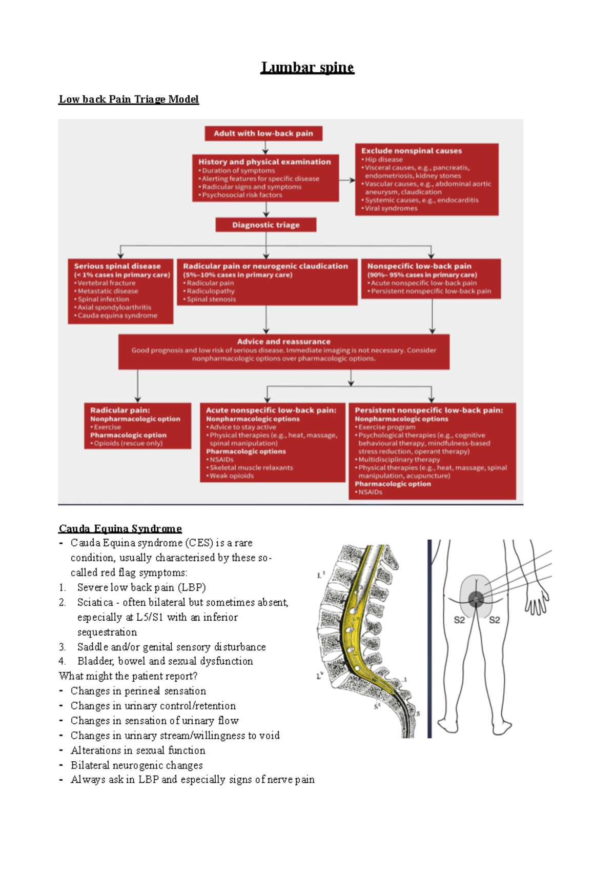 Lumbar Spine Notes: Cauda Equina Syndrome & LBP Management (Physio 2nd ...