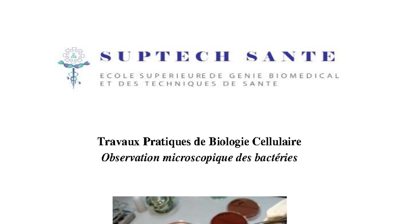 TP de Biologie Cellulaire : Observation Microscopique des Bactéries ...