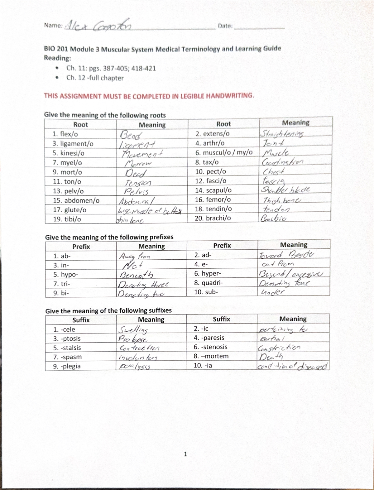 BIO 201 Module 3 Final Exam Learning Guide: Muscular System Terms - Studocu