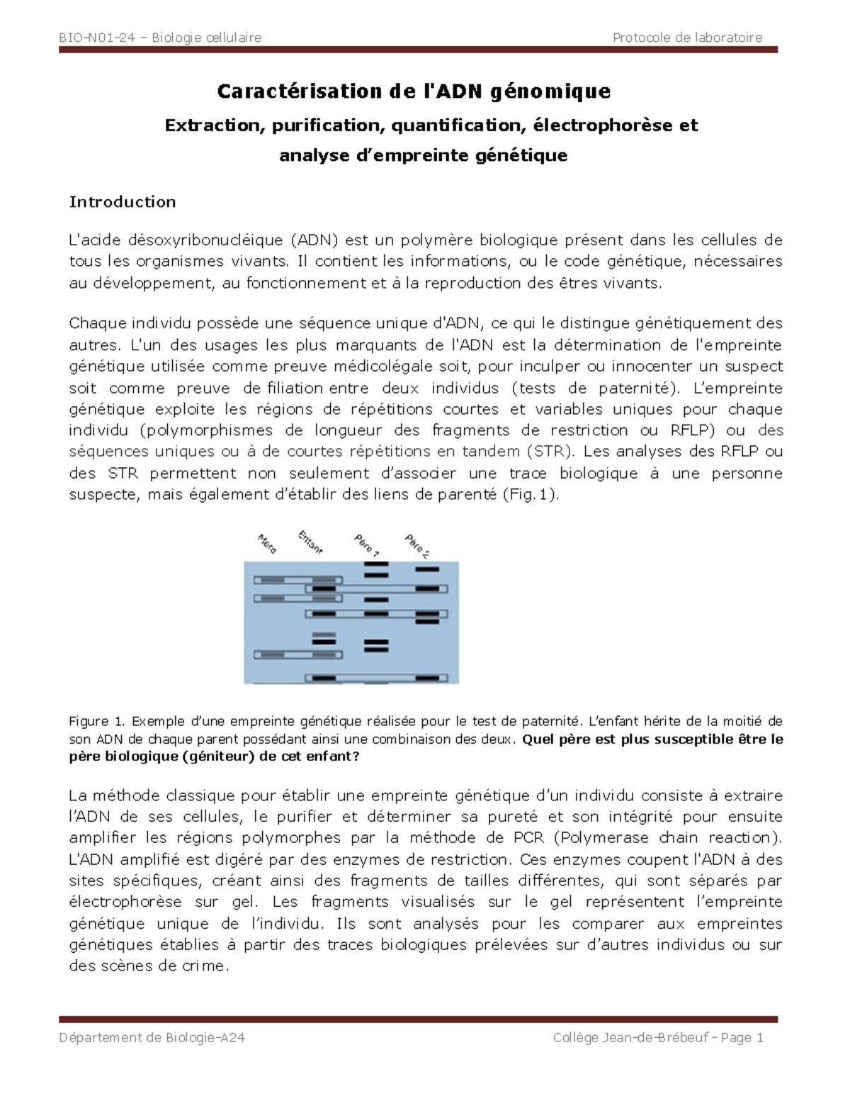 Protocole de Laboratoire 5 : Extraction et Purification de l'ADN - Studocu