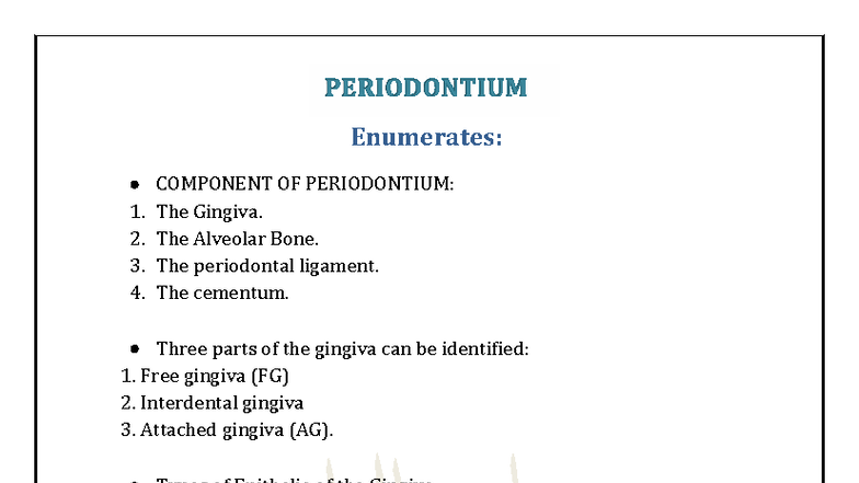 Periodontium Overview: Key Components and Functions - Perio 101 - Studocu