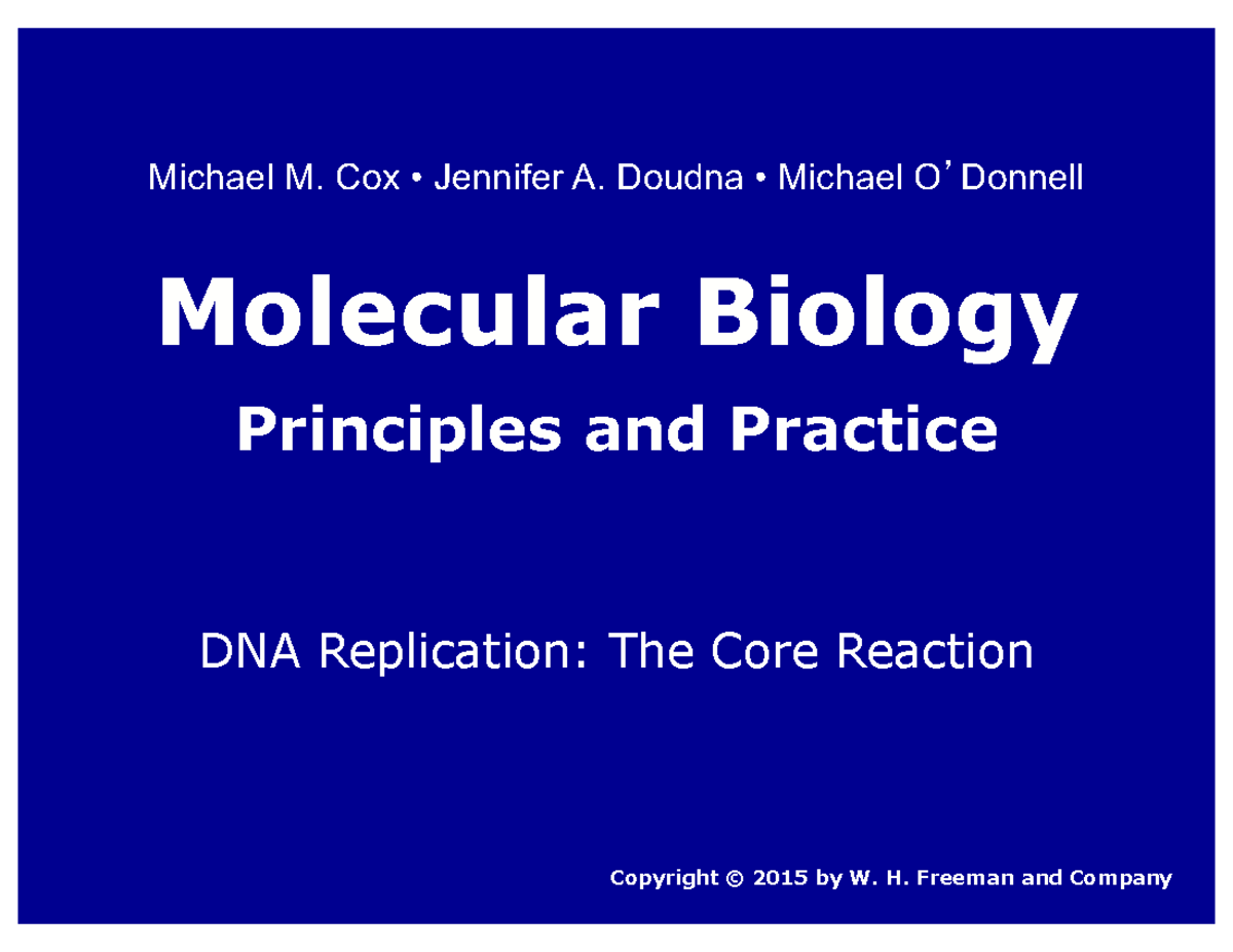 DNA Replication III Lecture Notes - MBIO 101 Principles & Practice ...