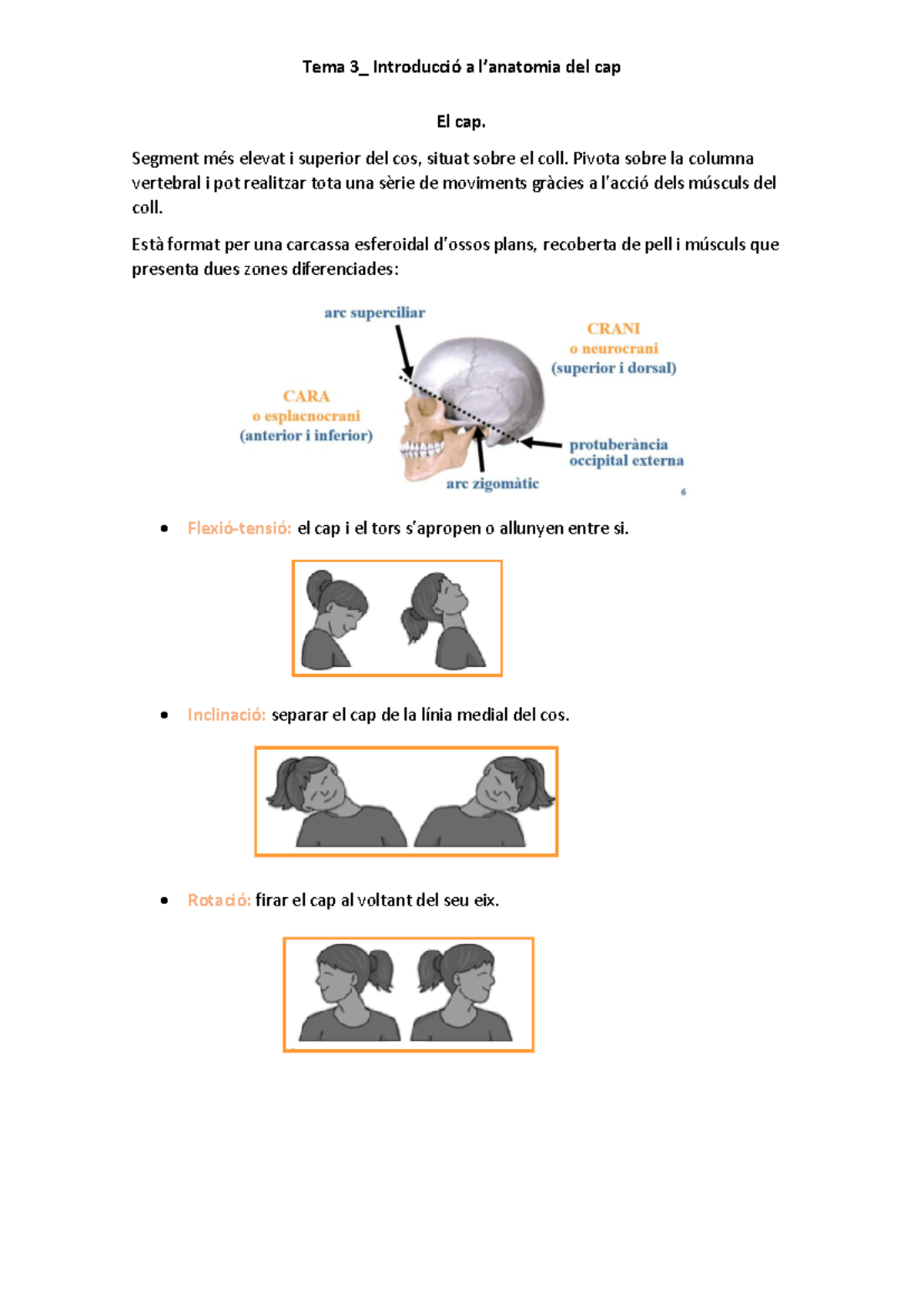 Apunts_ Introducció a l'anatomia del cap - Tema 3_ Introducció a l ...