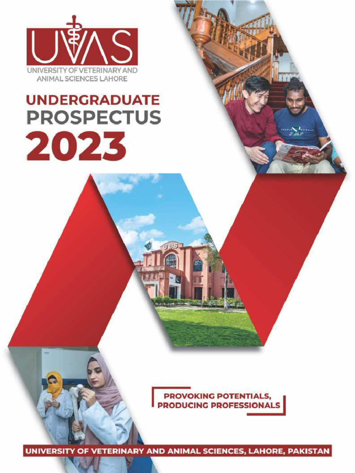 UVAS Prospectus 2023: Vision, Mission, and Educational Overview - Studocu