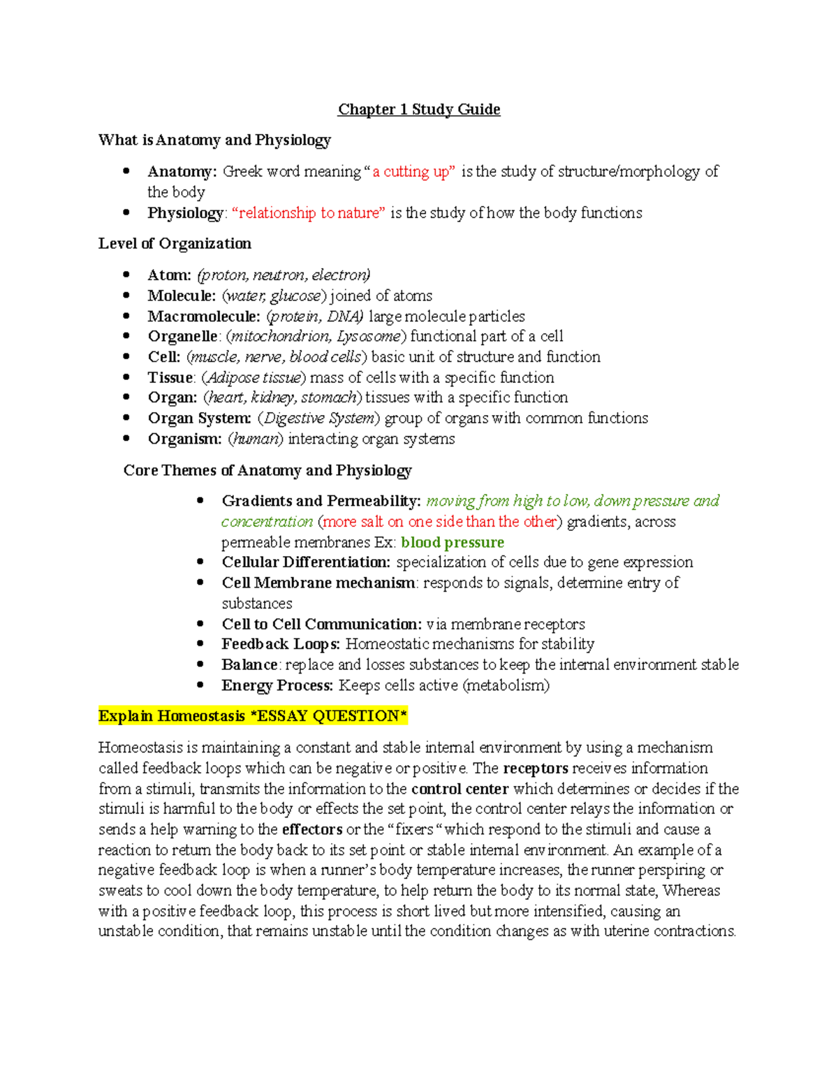 Chapter 1 Study Guide - Chapter 1 Study Guide What is Anatomy and ...