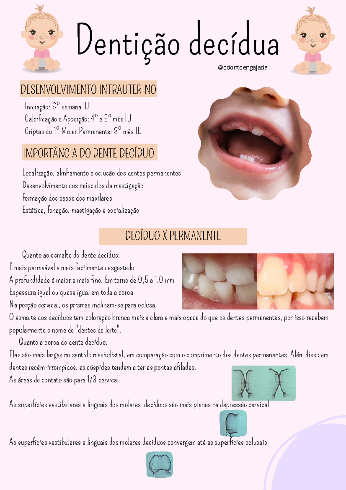 Resumo sobre Dentição Decídua - Odontologia U 2023 - Studocu