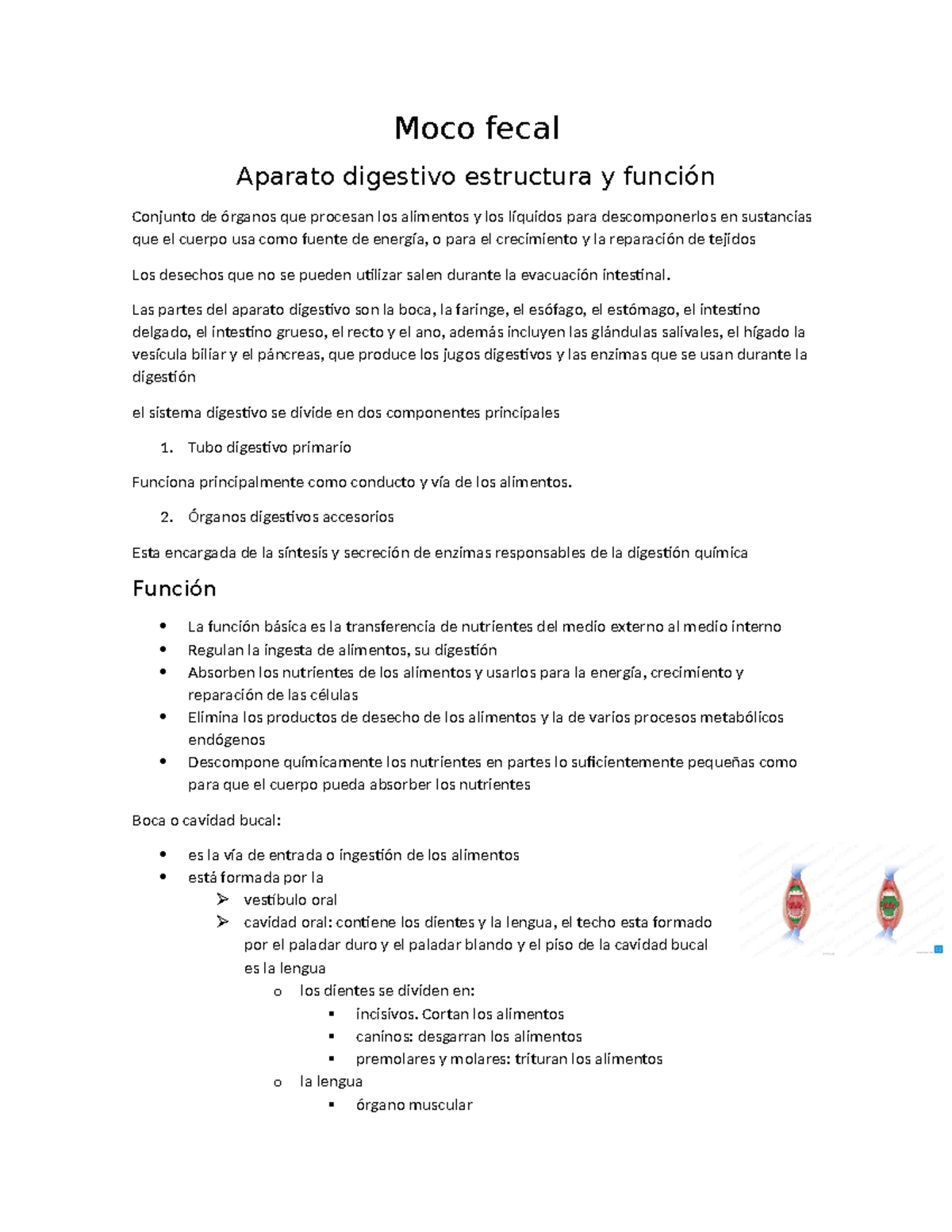 Moco fecal - moco nasal y estructura del aparato respiratorio - Moco ...