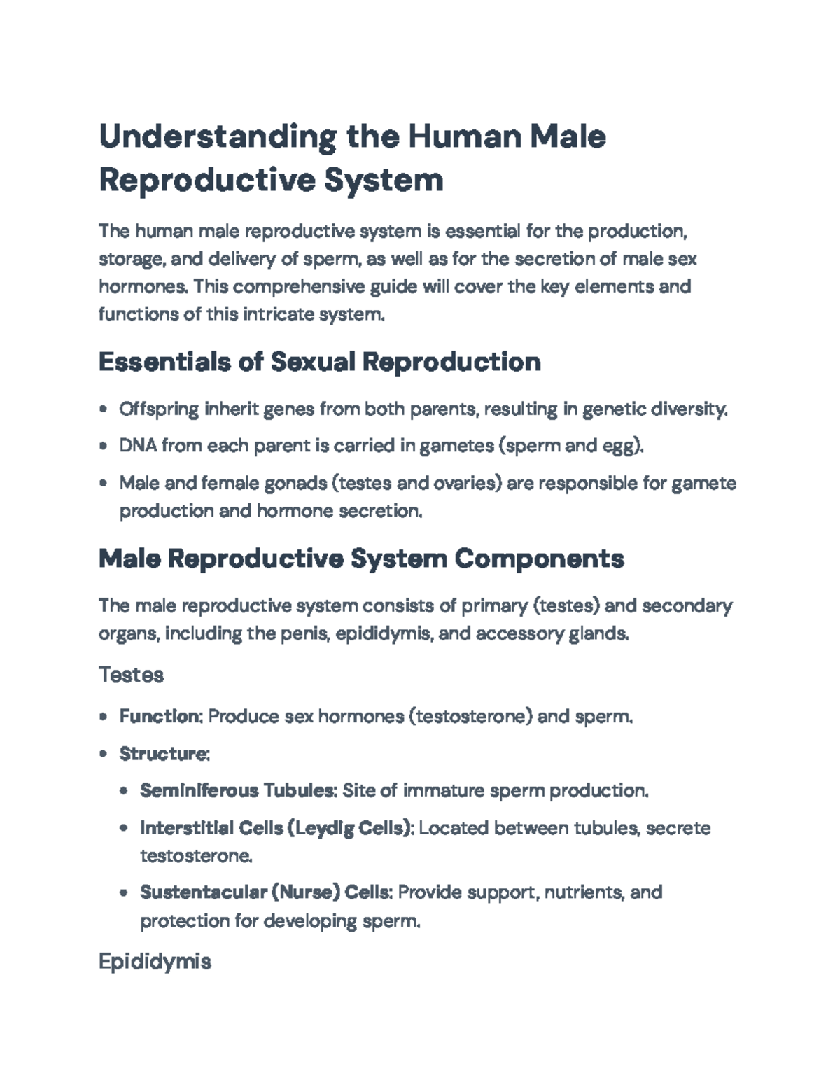 Understanding the Human Male Reproductive System: Key Functions ...
