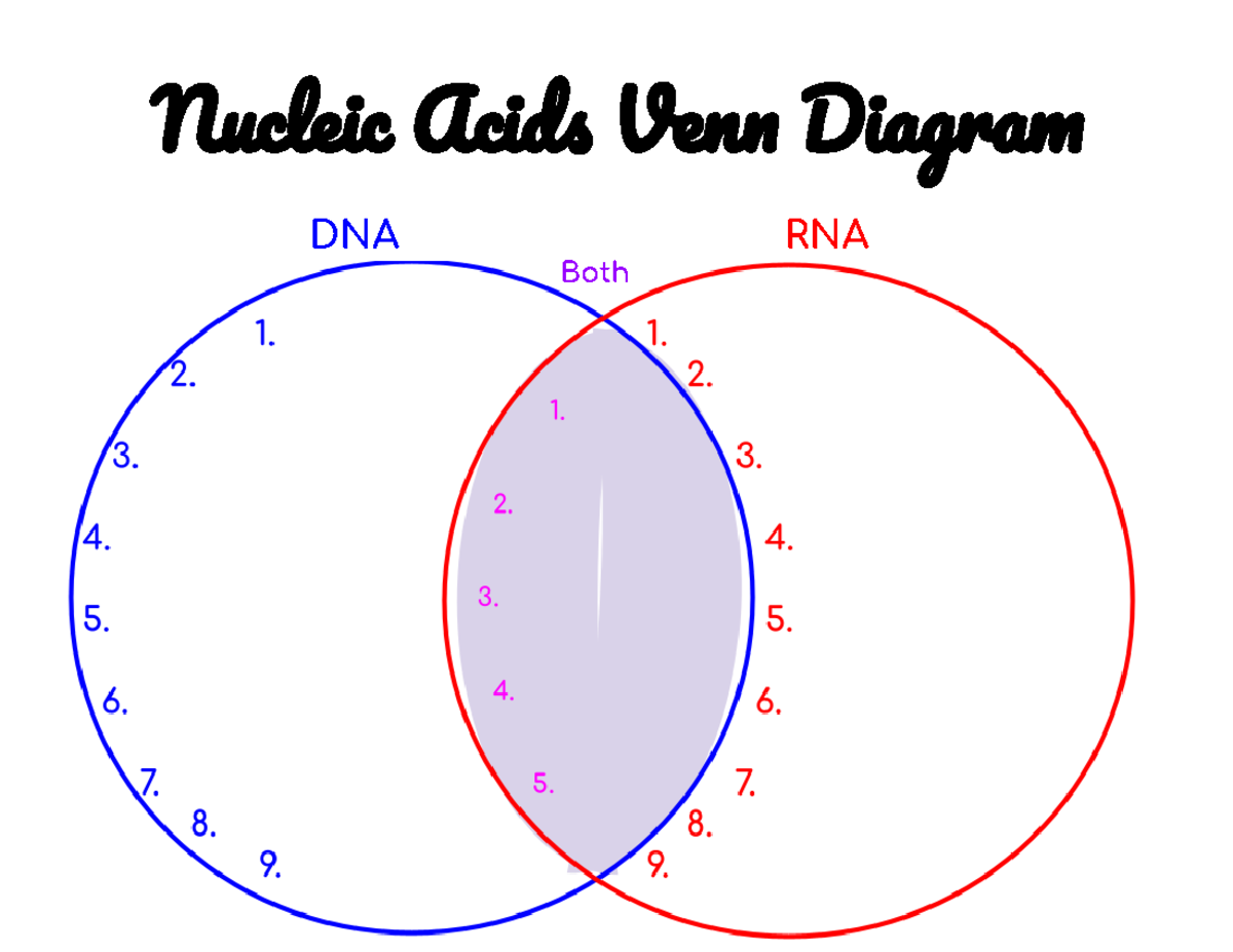 Nucleic Acid Venn Diagram
