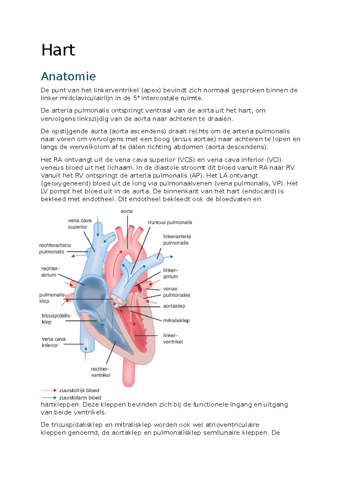 Hart - Practicum Anatomie & Fysiologie van het Hart (HART-101) - Studeersnel