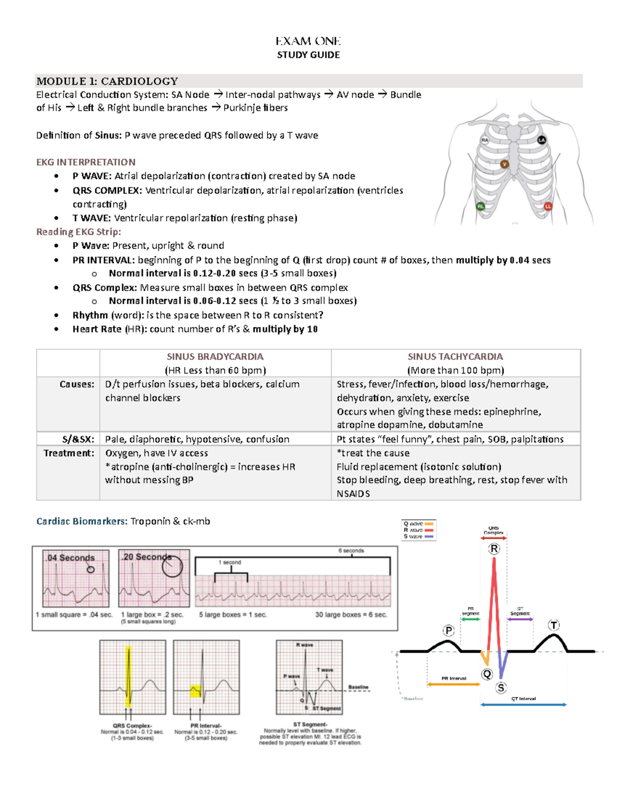Study Guide: Exam 1 - Cardiology, Neurology, and Hematology Notes - Studocu