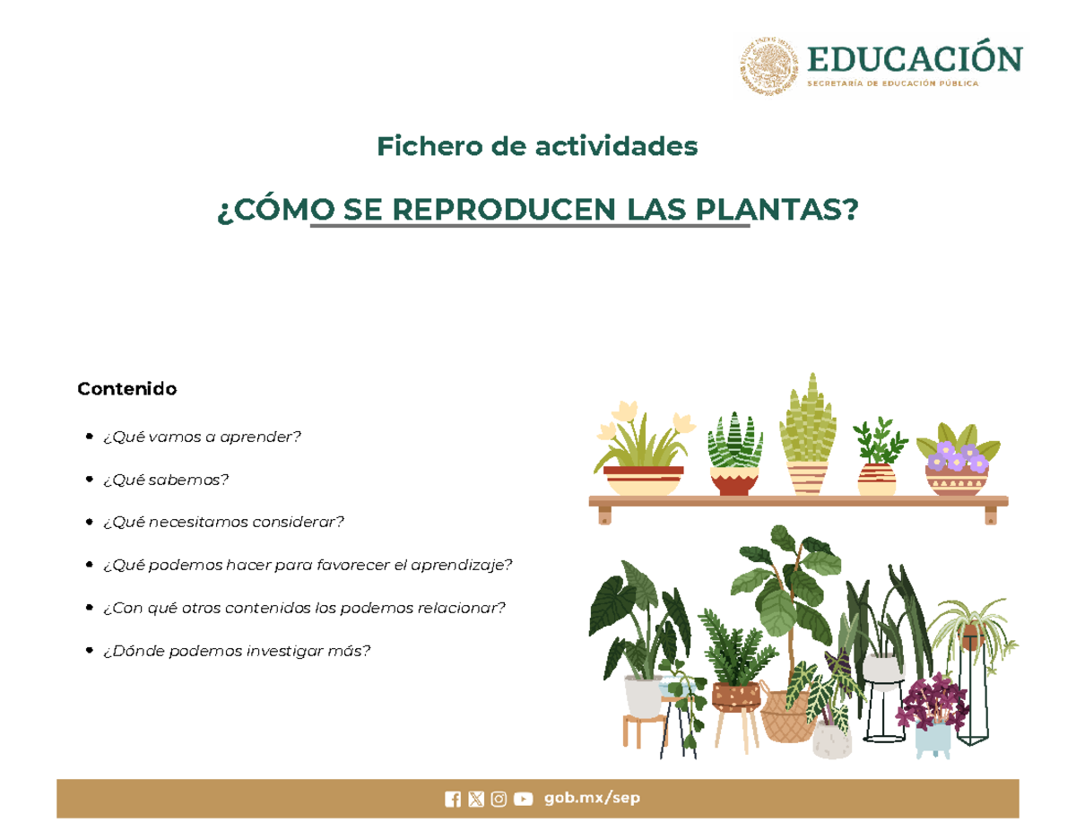 Ficha 5° - ¿Cómo se Reproducen las Plantas? Actividades y Aprendizaje ...