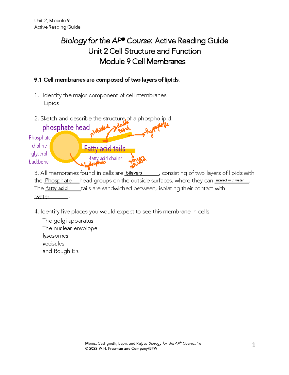Active Reading Guide for AP® Biology 1e: Cell Membranes & Functions ...