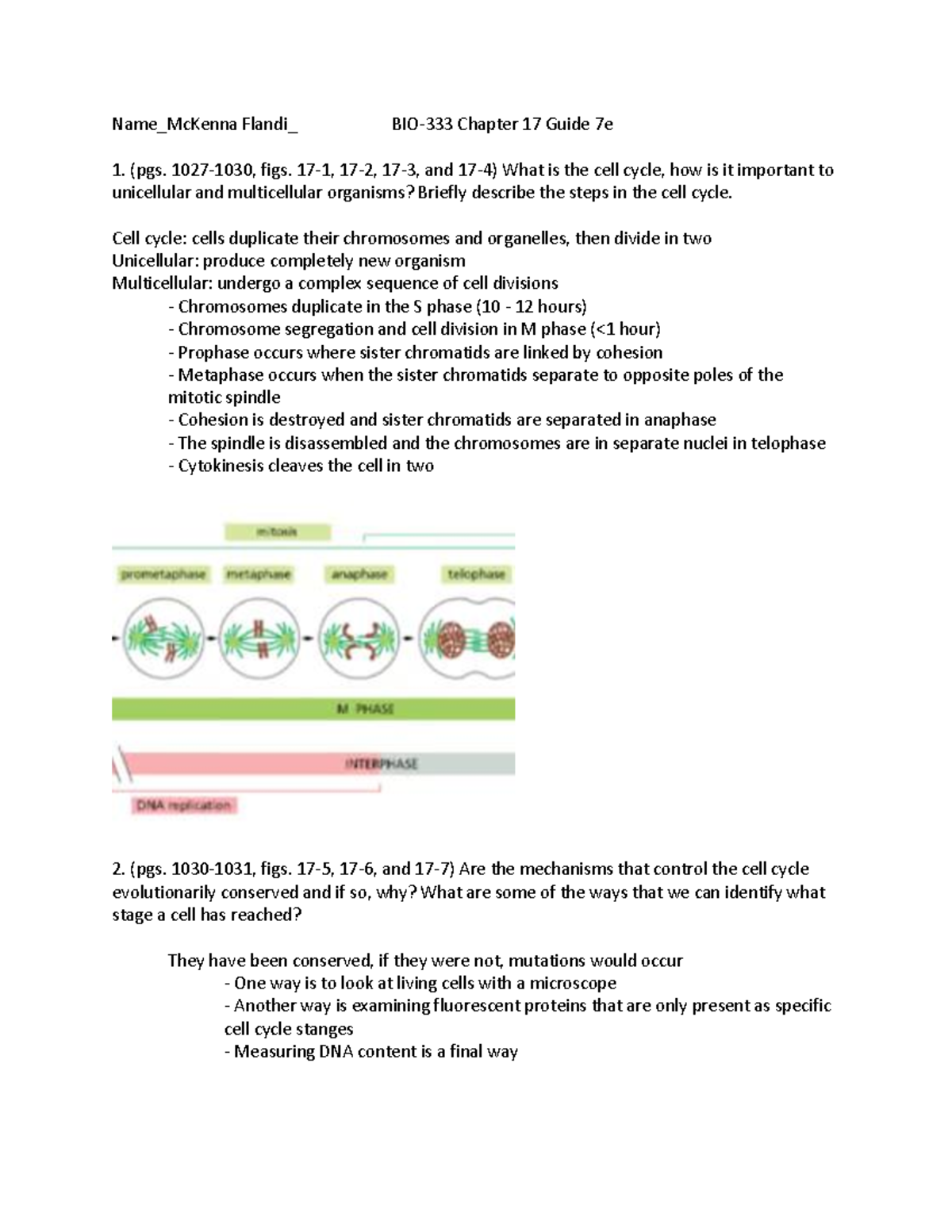BIO-333 Chapter 17 Study Guide: Cell Cycle Mechanisms and Control - Studocu
