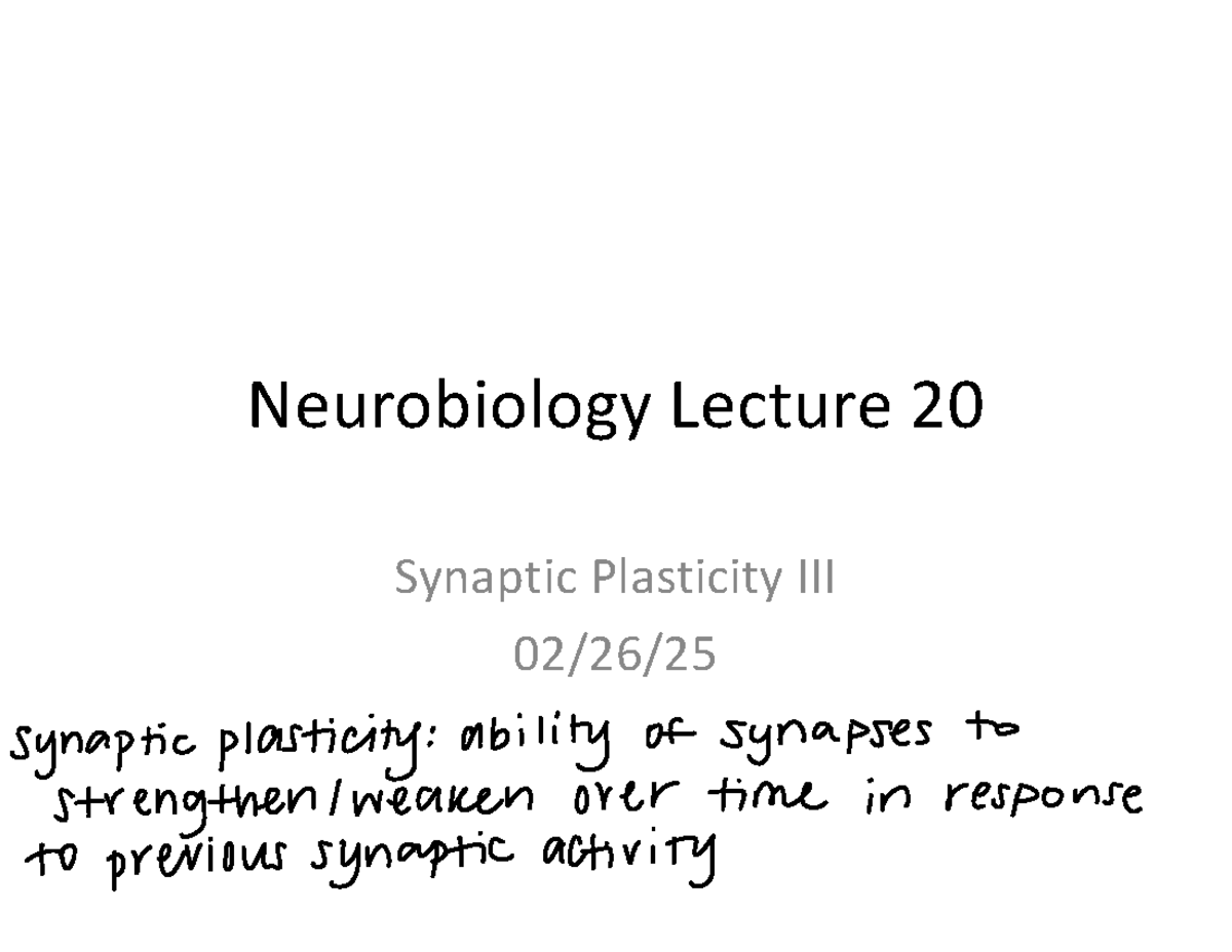 Neurobiology Lecture 20: Synaptic Plasticity Insights and Mechanisms ...
