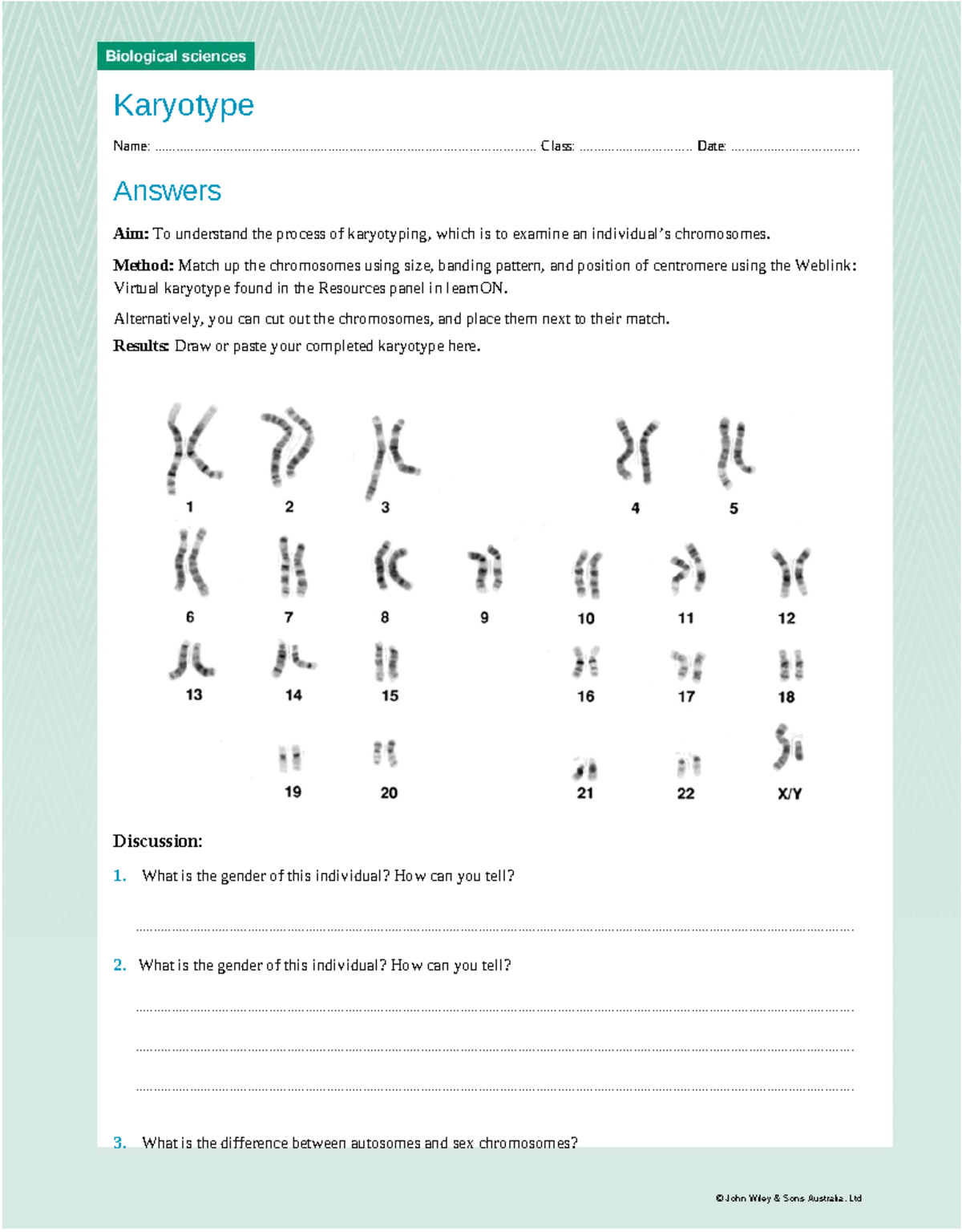 Karyotype Analysis Notes: Understanding Chromosomes and Gender - Studocu