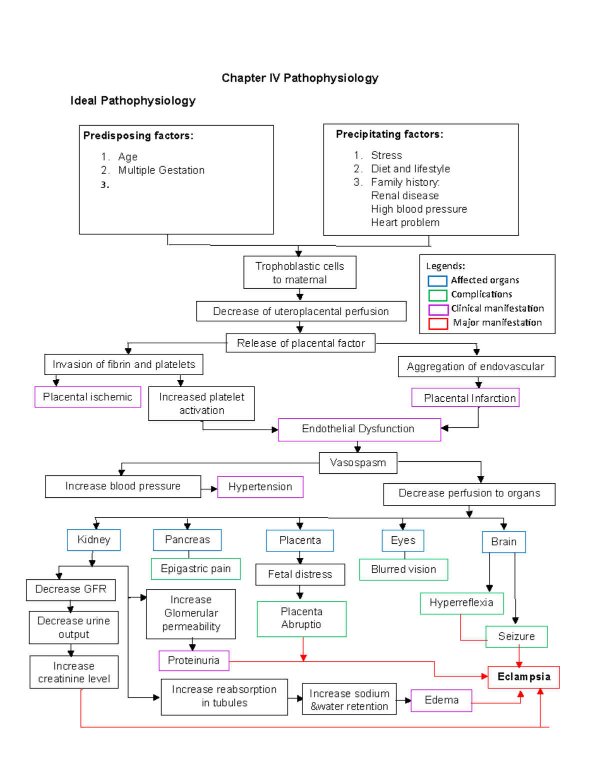 Pathophysiology-Eclampsia - Kedokteran - Studocu
