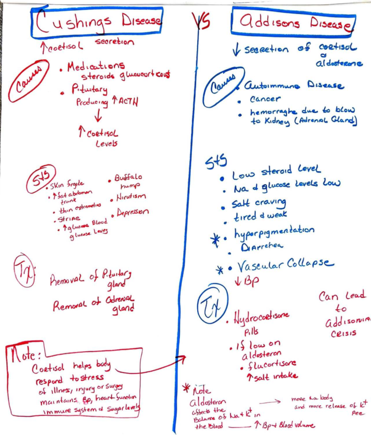 WEEK 5: Cushing's Disease vs. Addison's Disease Overview - Studocu
