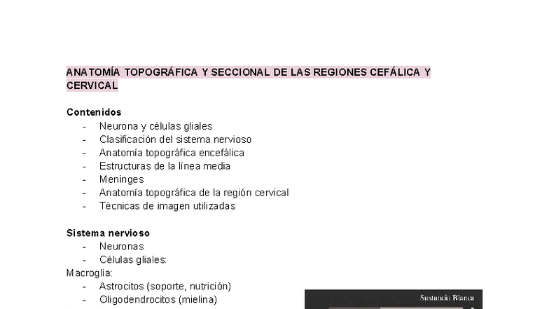 Anatomía Topográfica y Seccional de Regiones Cefálica y Cervical - Studocu