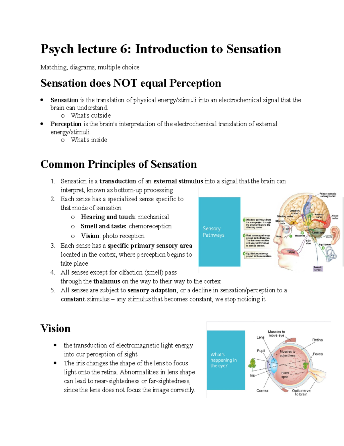 Psychology 101: Lecture 6 - Intro to Sensation & Perception - Studocu