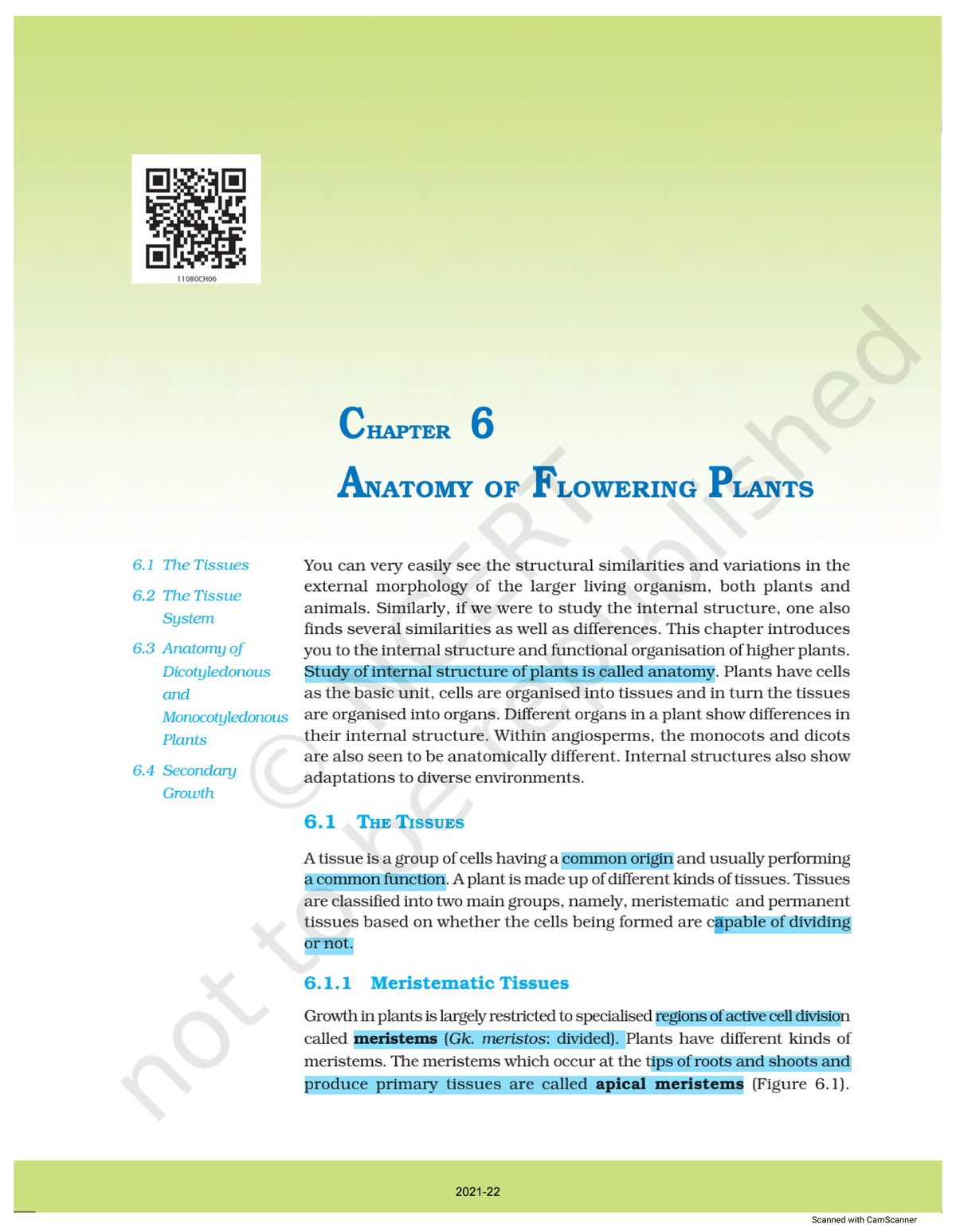 11080CH06 CHAPTER 6: ANATOMY OF FLOWERING PLANTS - TISSUE STRUCTURE ...