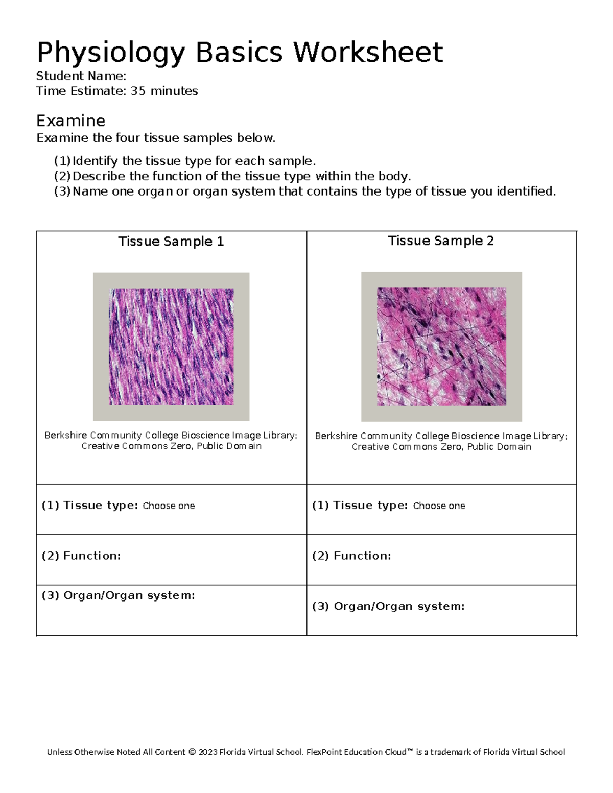 Physiology Basics Worksheet for BSC 101 with Tissue Analysis Tasks ...