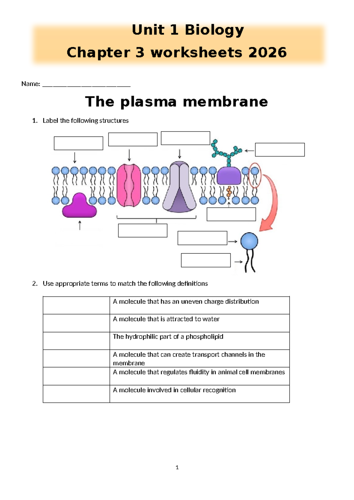Biology 101: Unit 1 Chapter 3 Worksheets on Plasma Membrane - Studocu