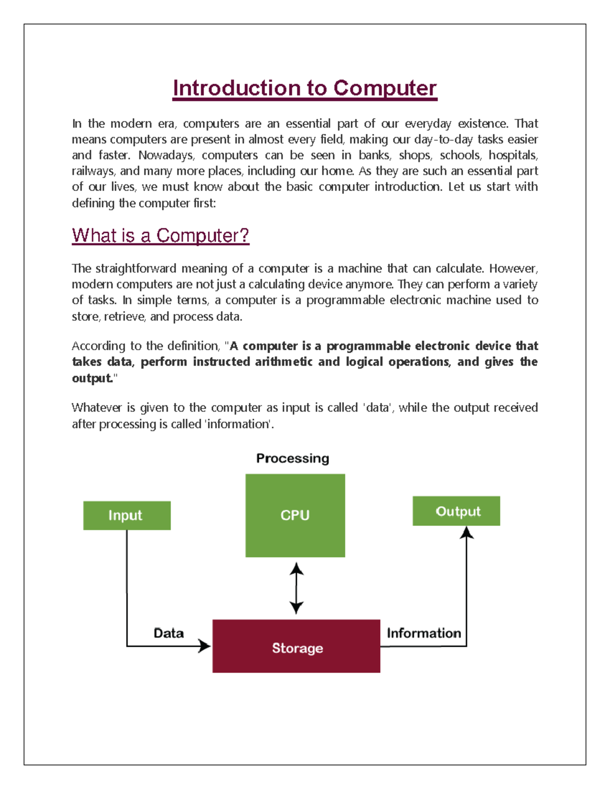 Introduction to Computer Science: Basics and Functions - Studocu