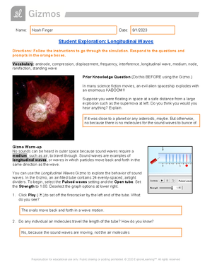 PHet Electricity Simulations Analysis Worksheet: Balloons & Static ...