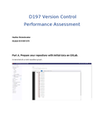 D197 - Version Control - Studocu