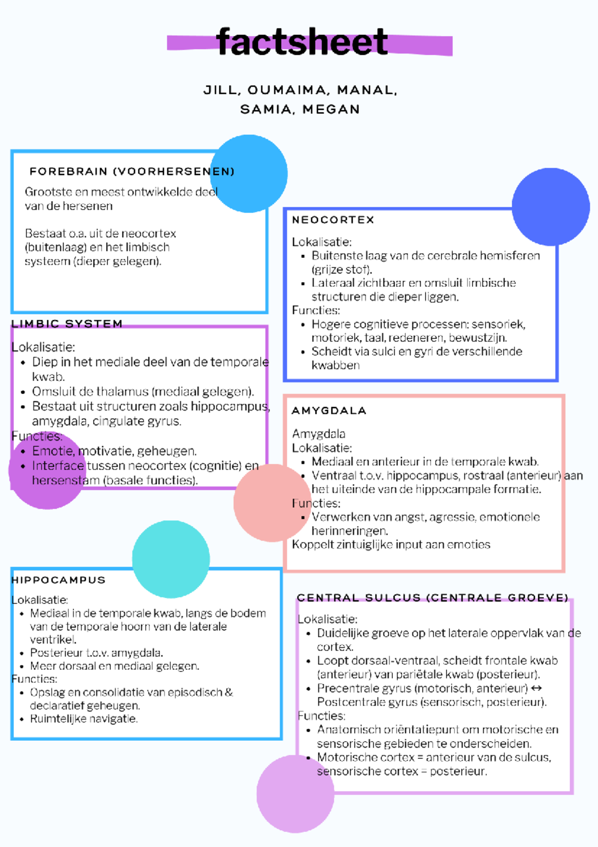 Factsheet NEURO: Neocortex & Limbic System Overview - Studeersnel
