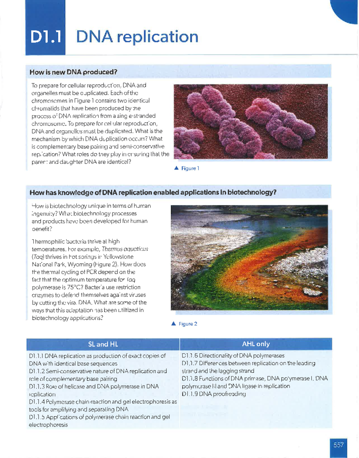 DNA Replication: Mechanisms, Applications, and Key Processes (D1.1 ...