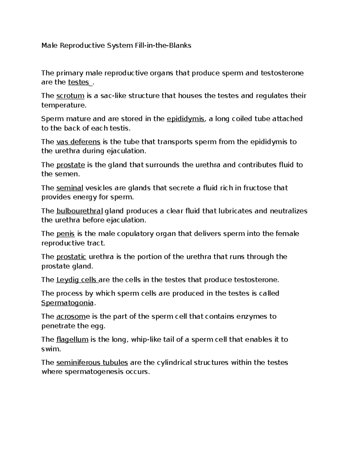 Male Reproductive System Fill-in-the-Blanks Guide - Studocu