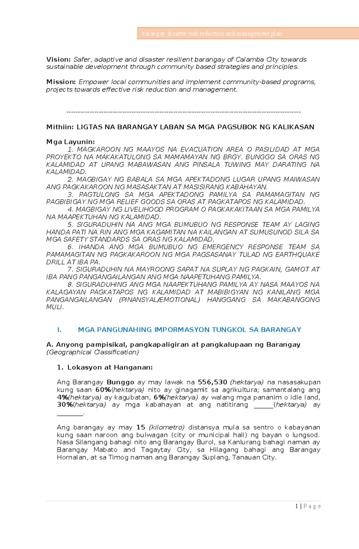 Barangay Disaster Risk Reduction Management Plan Template (BDRRMP ...