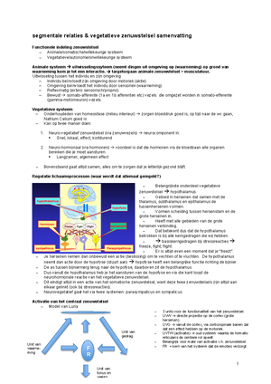 [Solved] betekenis en verschillen tussen anteversie en retroversie ...