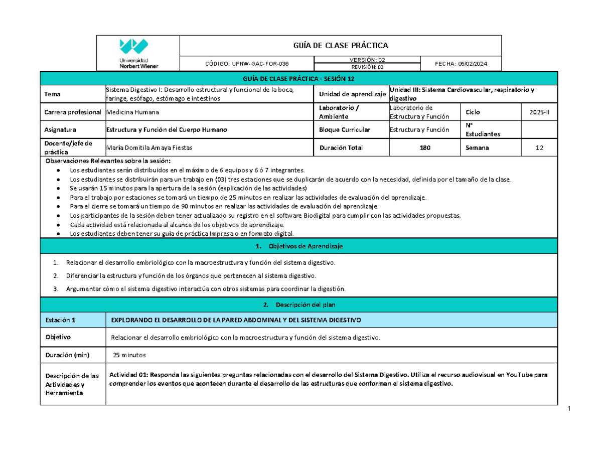 GUÍA DE CLASE PRÁCTICA SESIÓN 12: Sistema Digestivo I - Medicina Humana ...