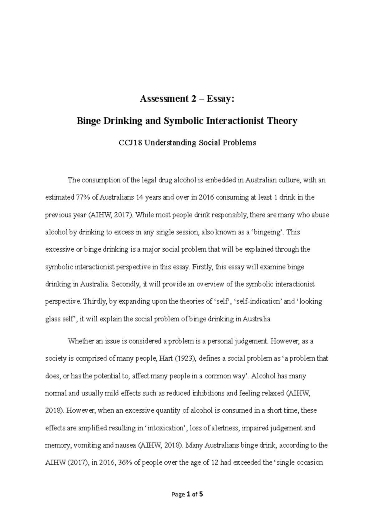 CCJ18 Final Essay: Binge Drinking Explored Through Symbolic ...