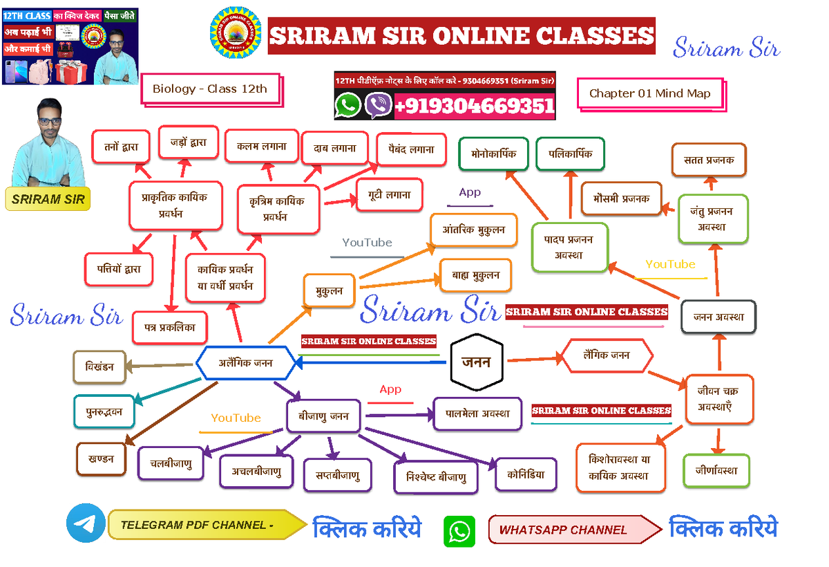 जीवों में जनन: कक्षा 12 MIND MAP नोट्स (पाठ 01) - Studocu