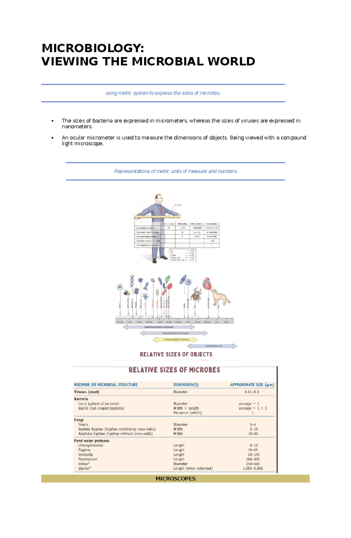 Microbiology: Measuring Microbes with Metric Systems in Lab Techniques ...
