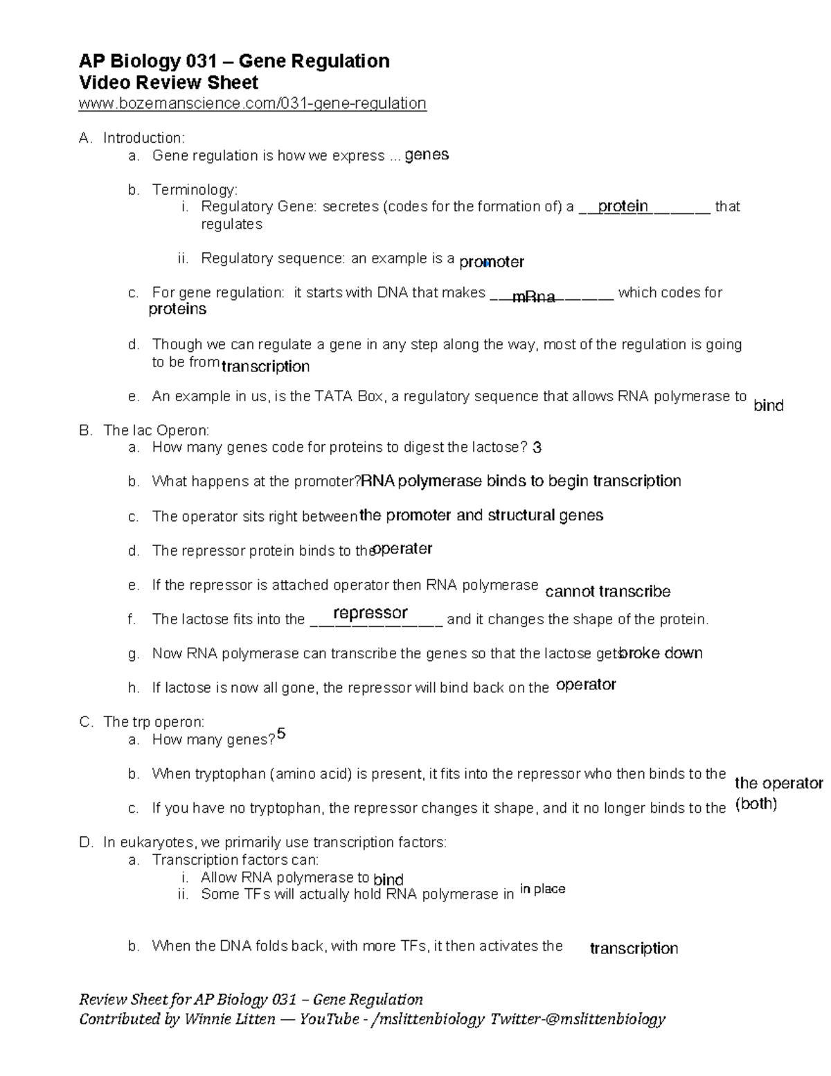 Gene Regulation Review Notes for AP Biology 031 - Studocu
