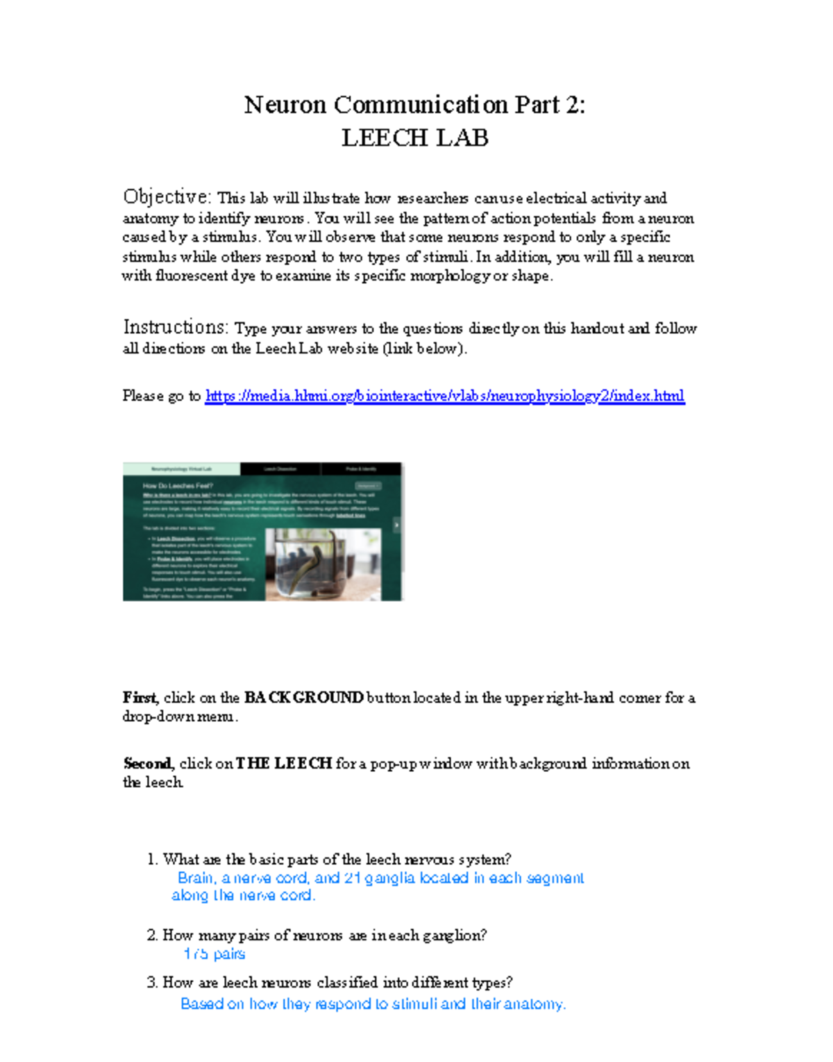 Neuron Communication Lab Activity: Leech Lab Insights Part 2 - Studocu
